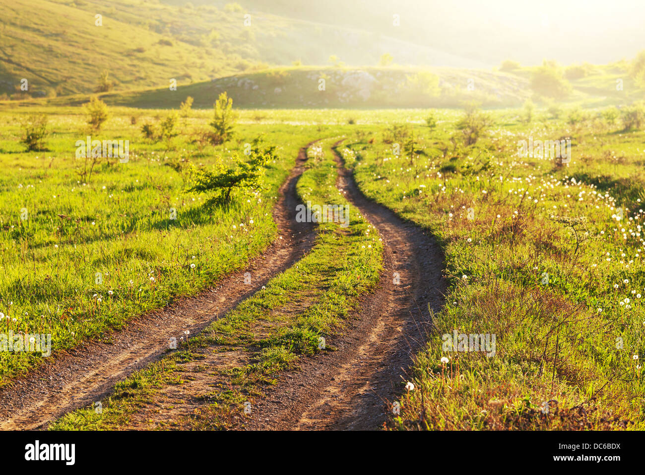 Road in field Stock Photo - Alamy