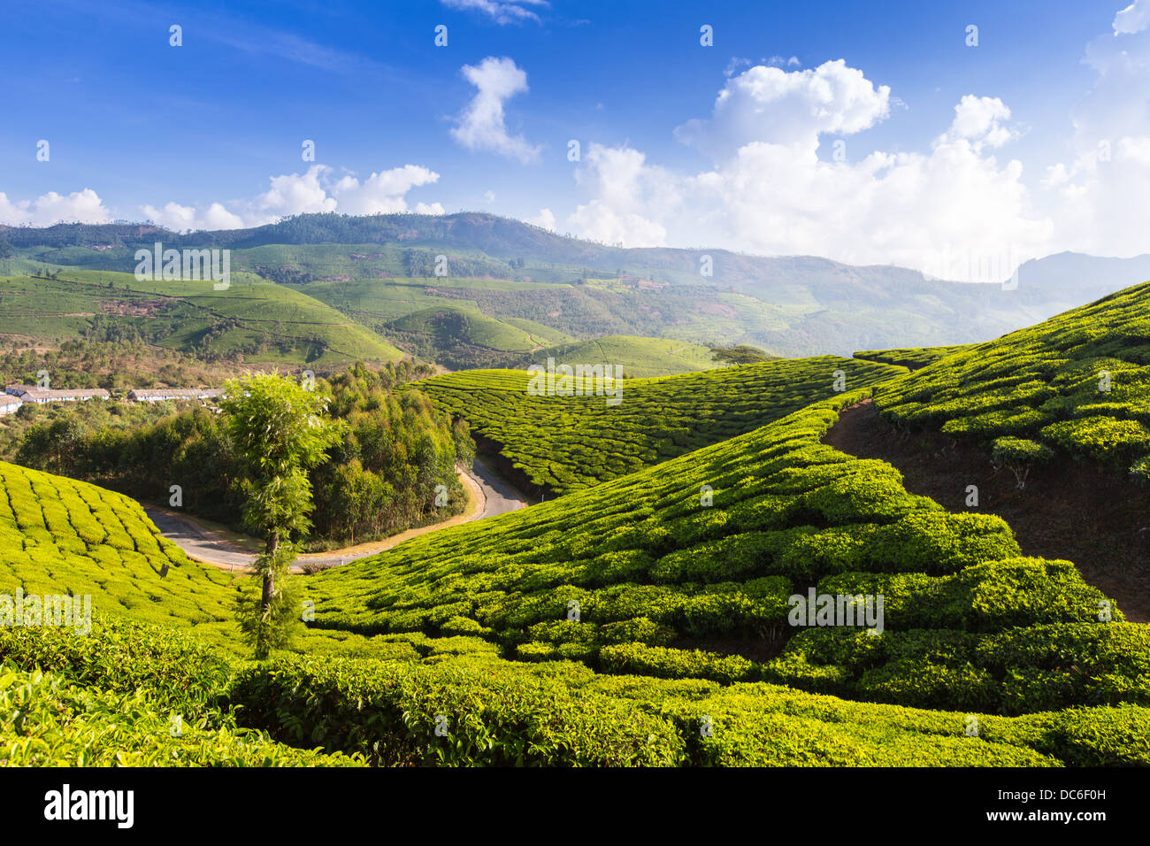 The road through plantations in India. Province Kerala Stock Photo - Alamy
