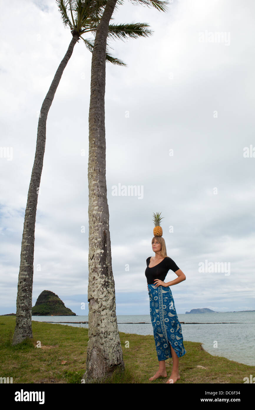 Pineapple palm tree hi-res stock photography and images - Alamy