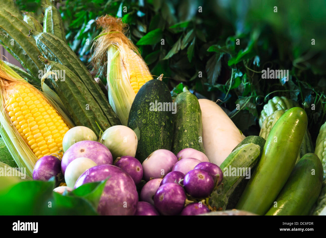 Beautiful vegetables at a farmer's productivity suite Stock Photo - Alamy