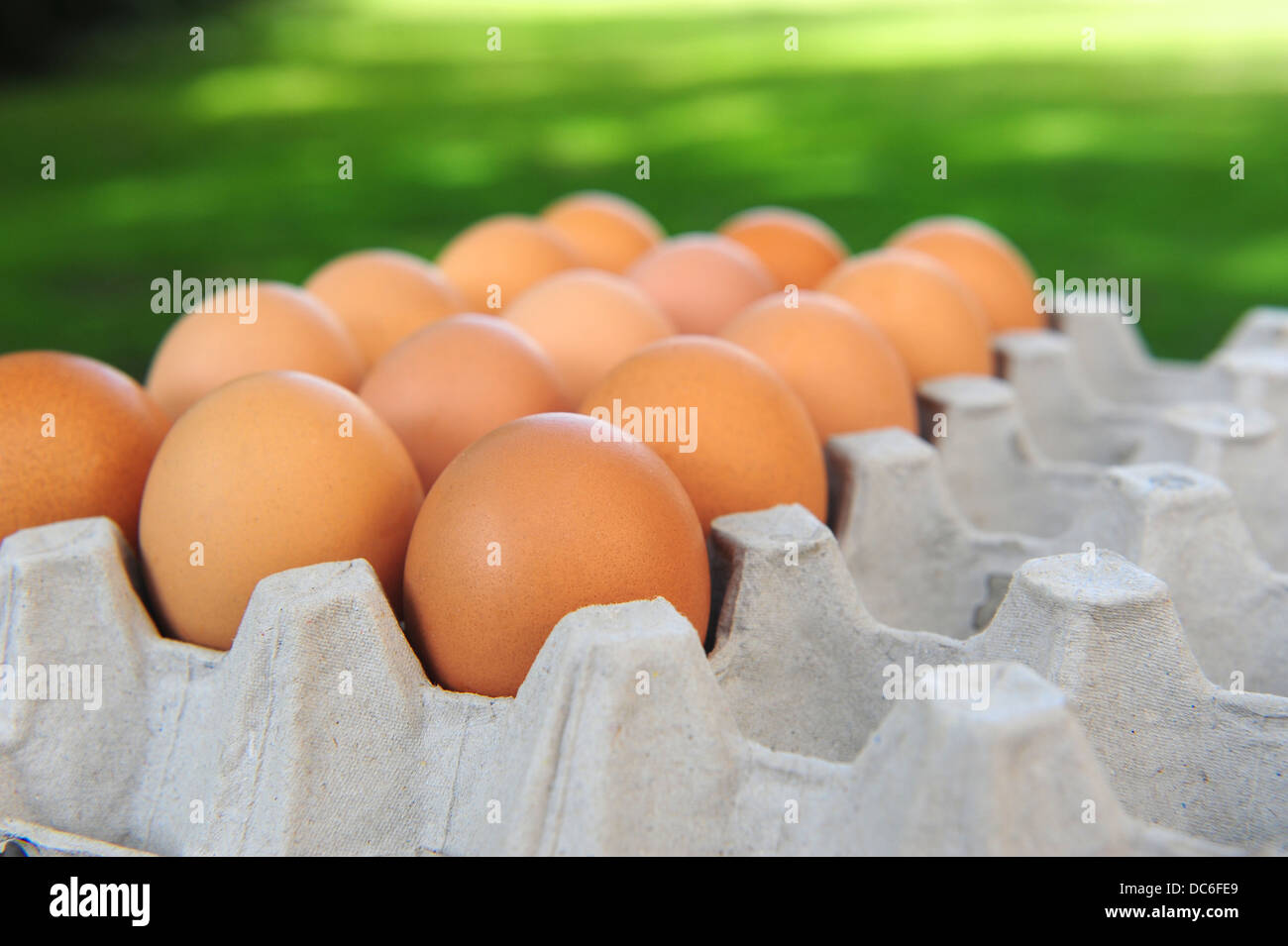 Eggs carton hi-res stock photography and images - Alamy