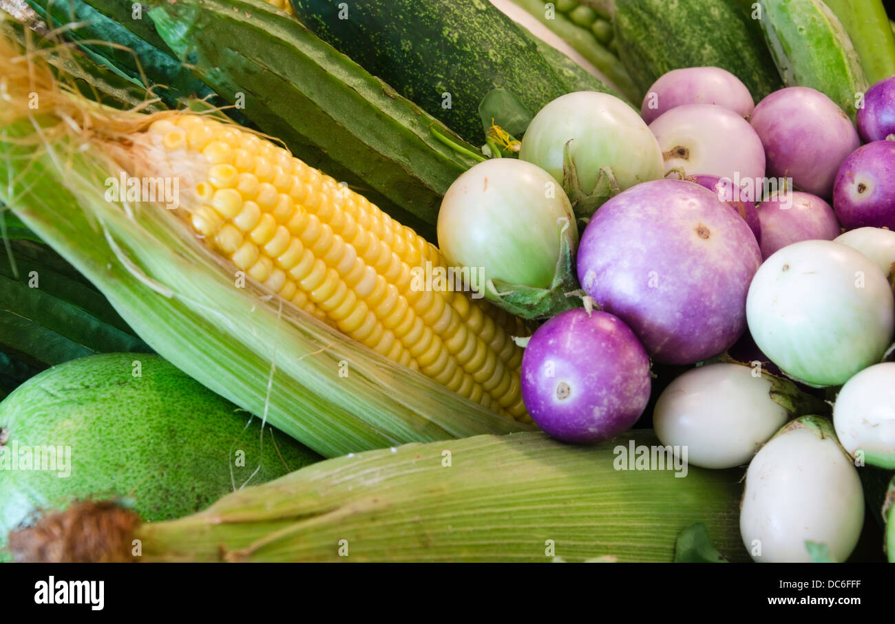 Beautiful vegetables at a farmer's productivity suite Stock Photo - Alamy