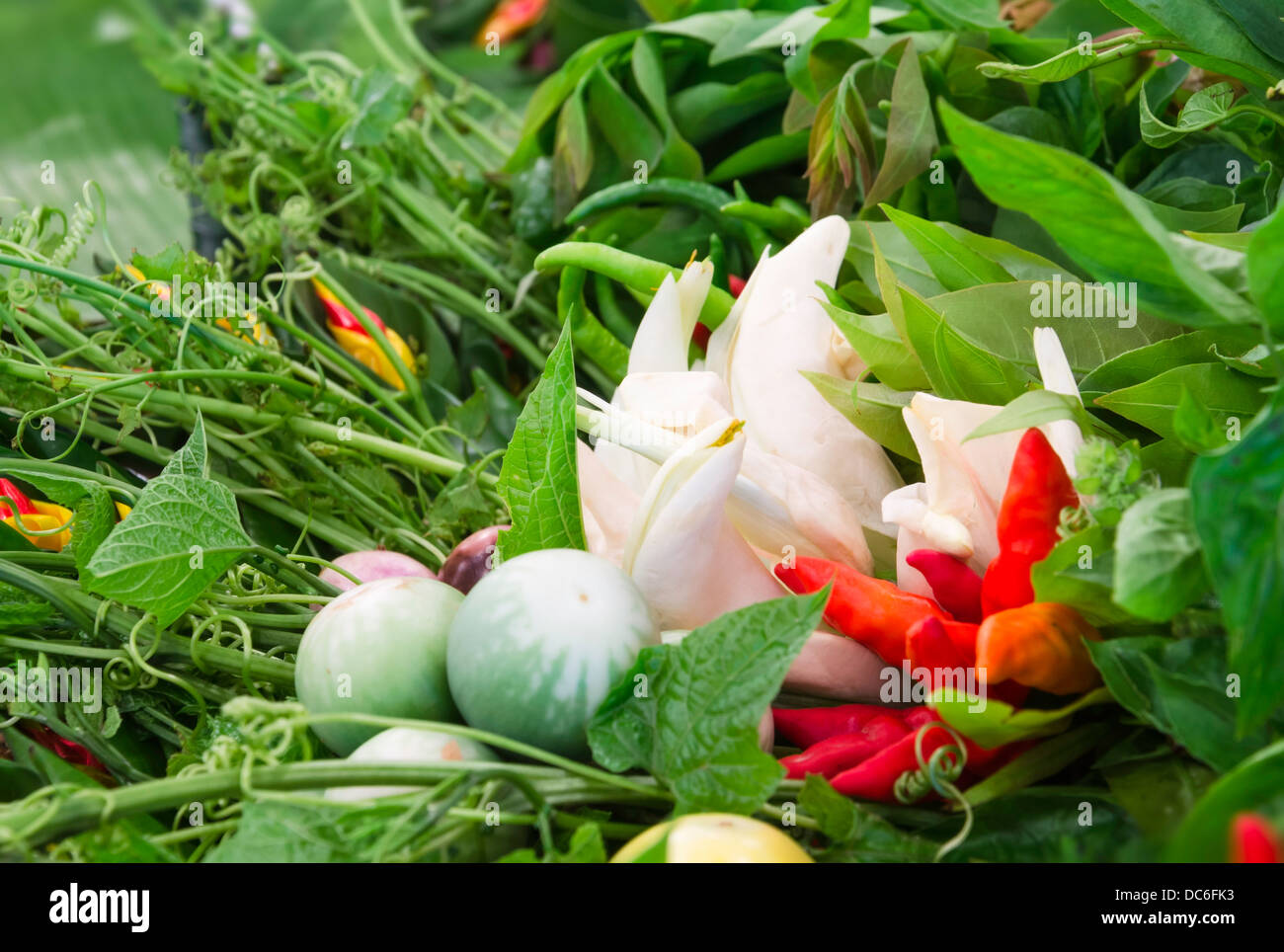 Beautiful vegetables at a farmer's productivity suite Stock Photo - Alamy