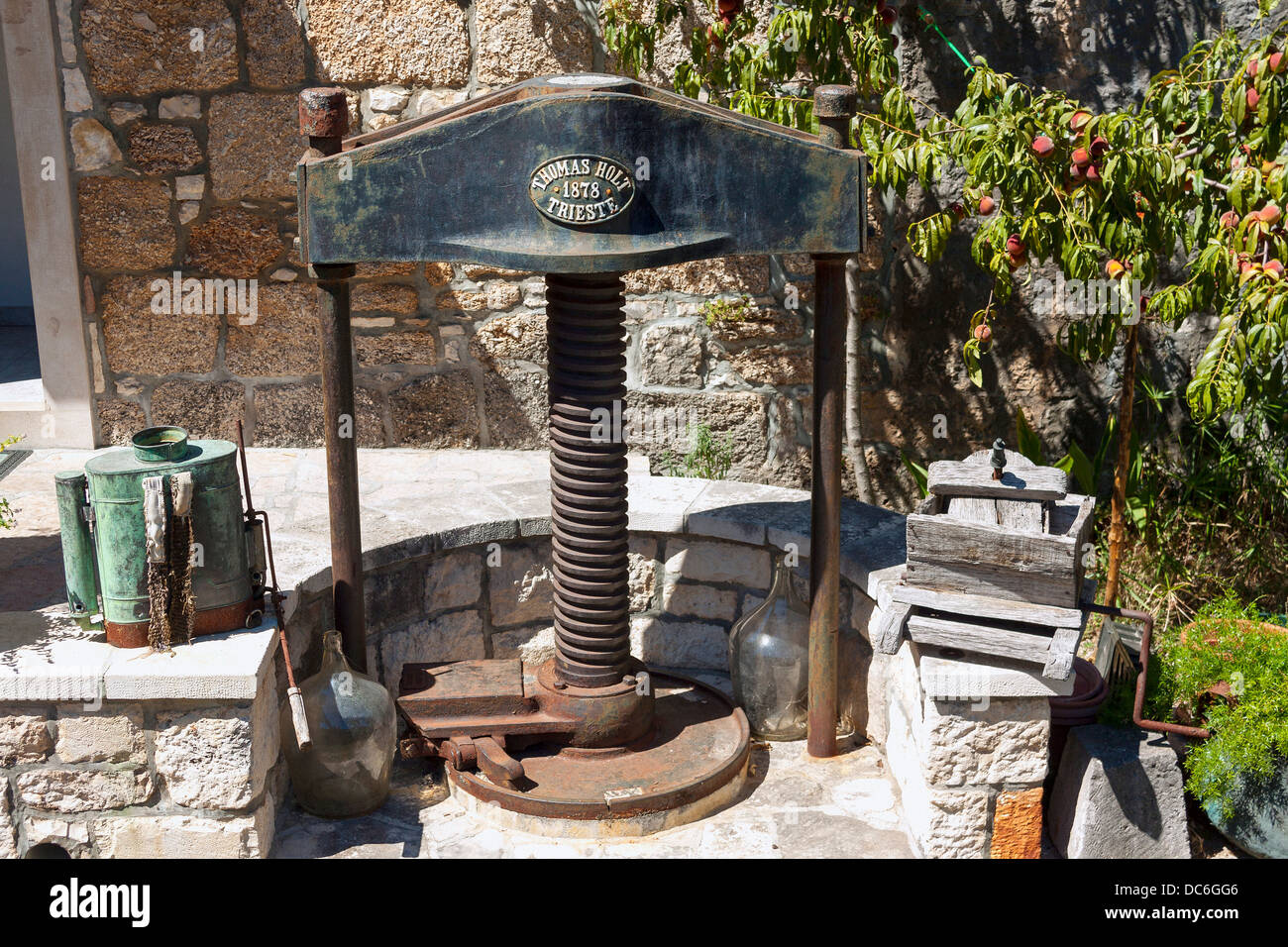 Olive oil press in oil hi-res stock photography and images - Alamy