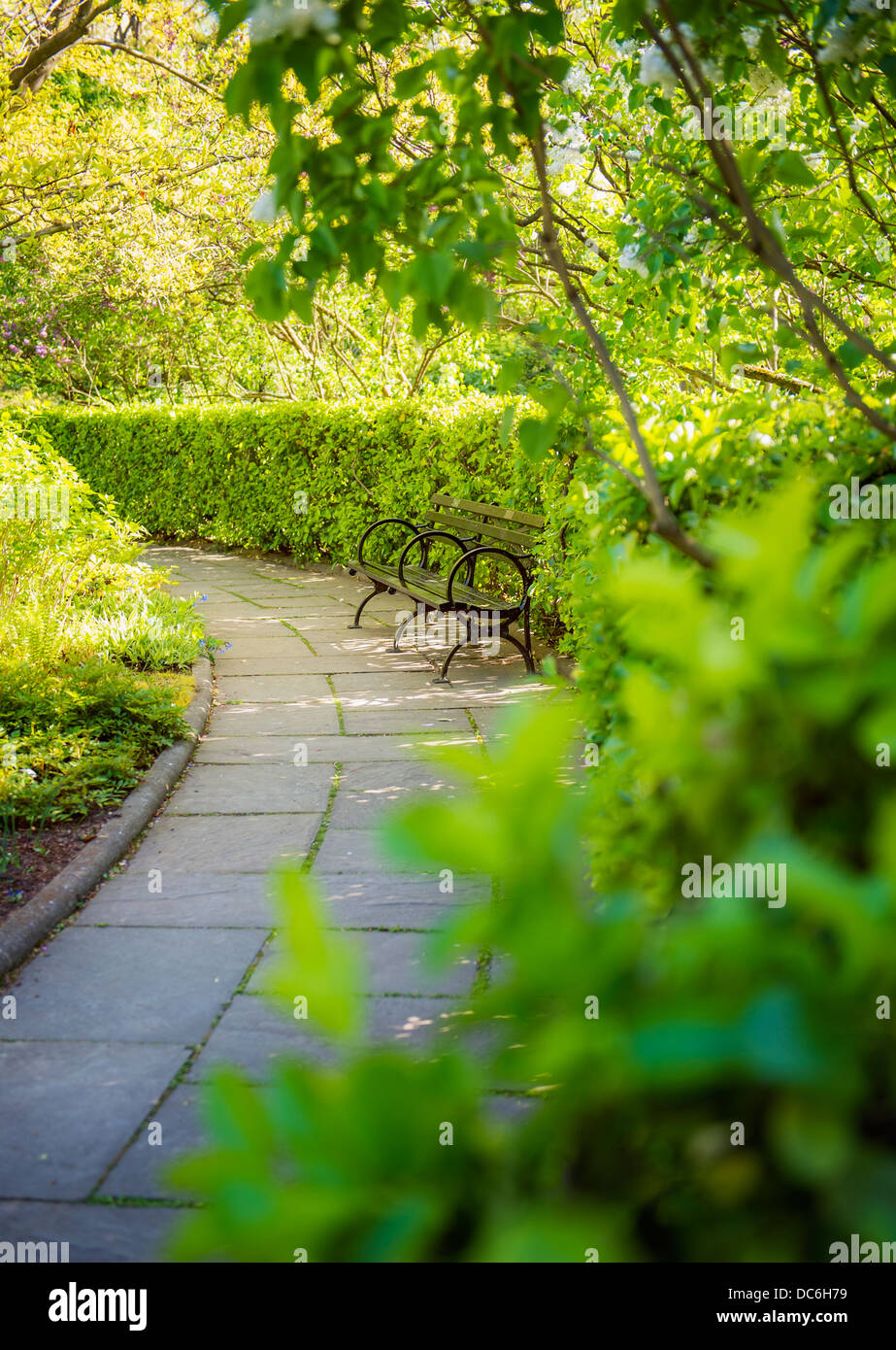 USA, New York State, New York City, Central Park, View of path Stock ...