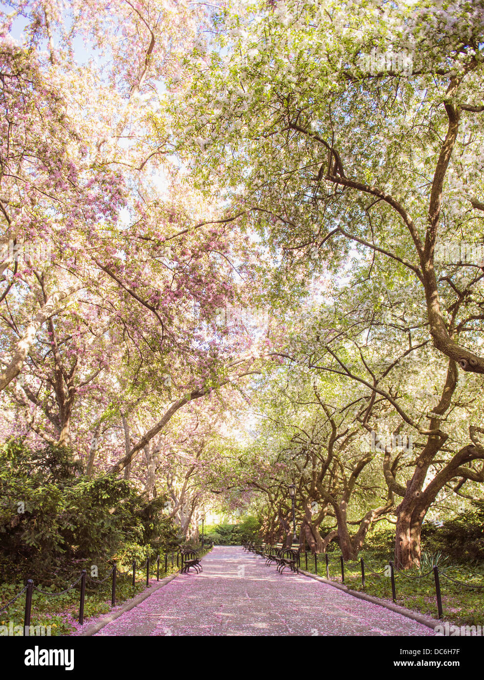 City park path view hi-res stock photography and images - Alamy