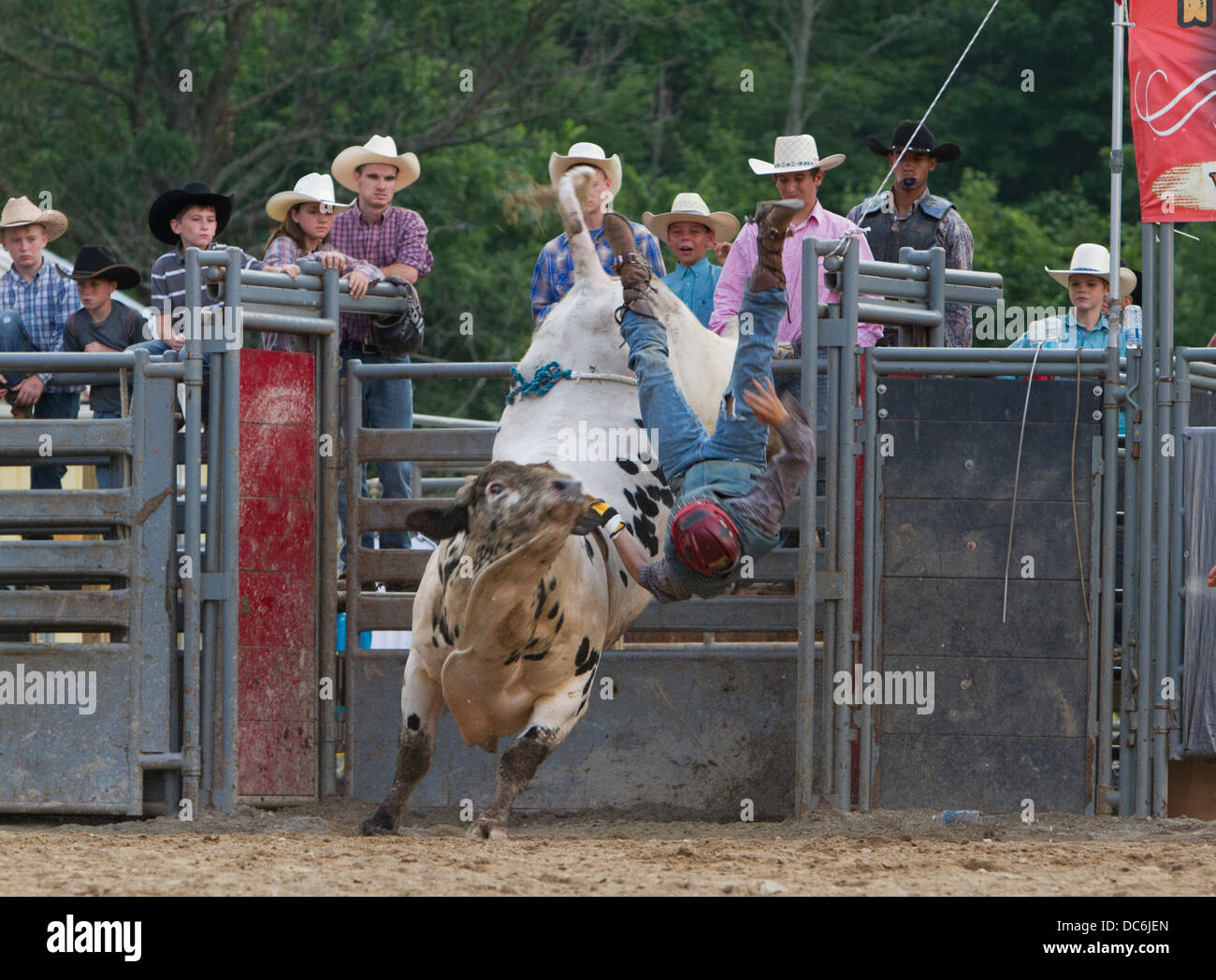 Cowboy being thrown from a bull at a rodeo Stock Photo - Alamy