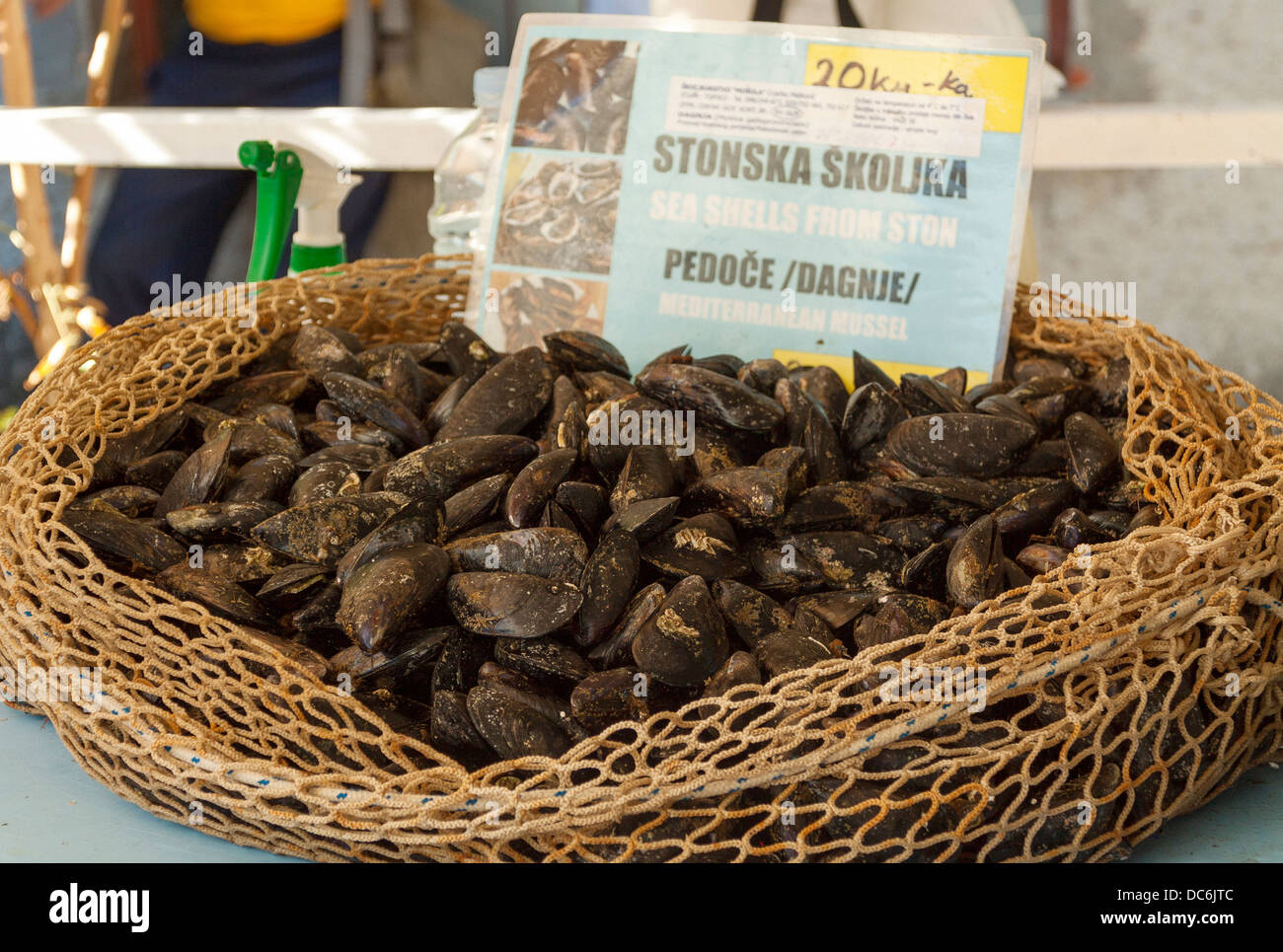 Croatian shells hi-res stock photography and images - Alamy