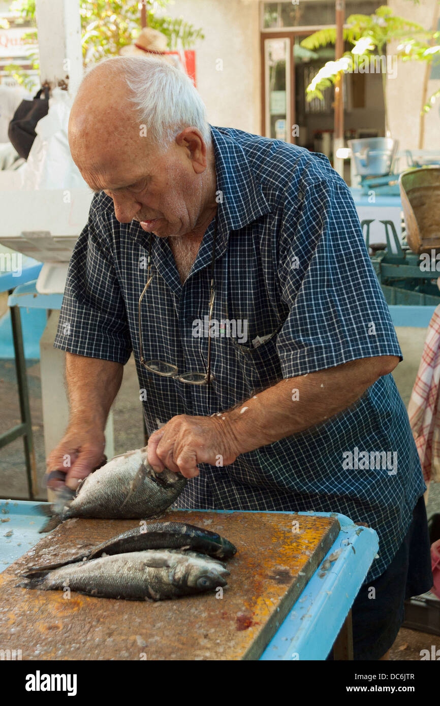 Scaling fish hi-res stock photography and images - Alamy