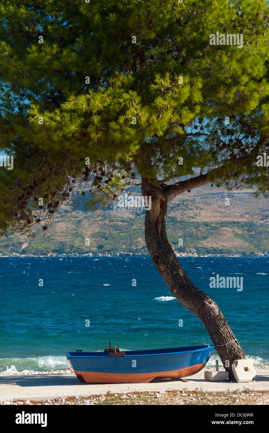 Boat chained to pine tree in Supetar, Croatia Stock Photo - Alamy