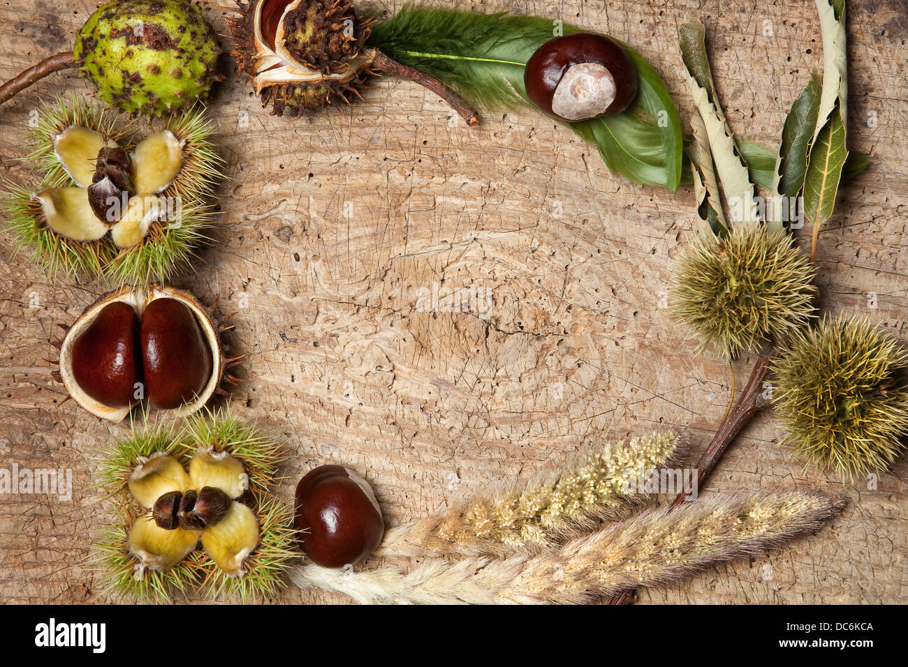 Decorative autumn border with chestnuts, and leaves Stock Photo - Alamy