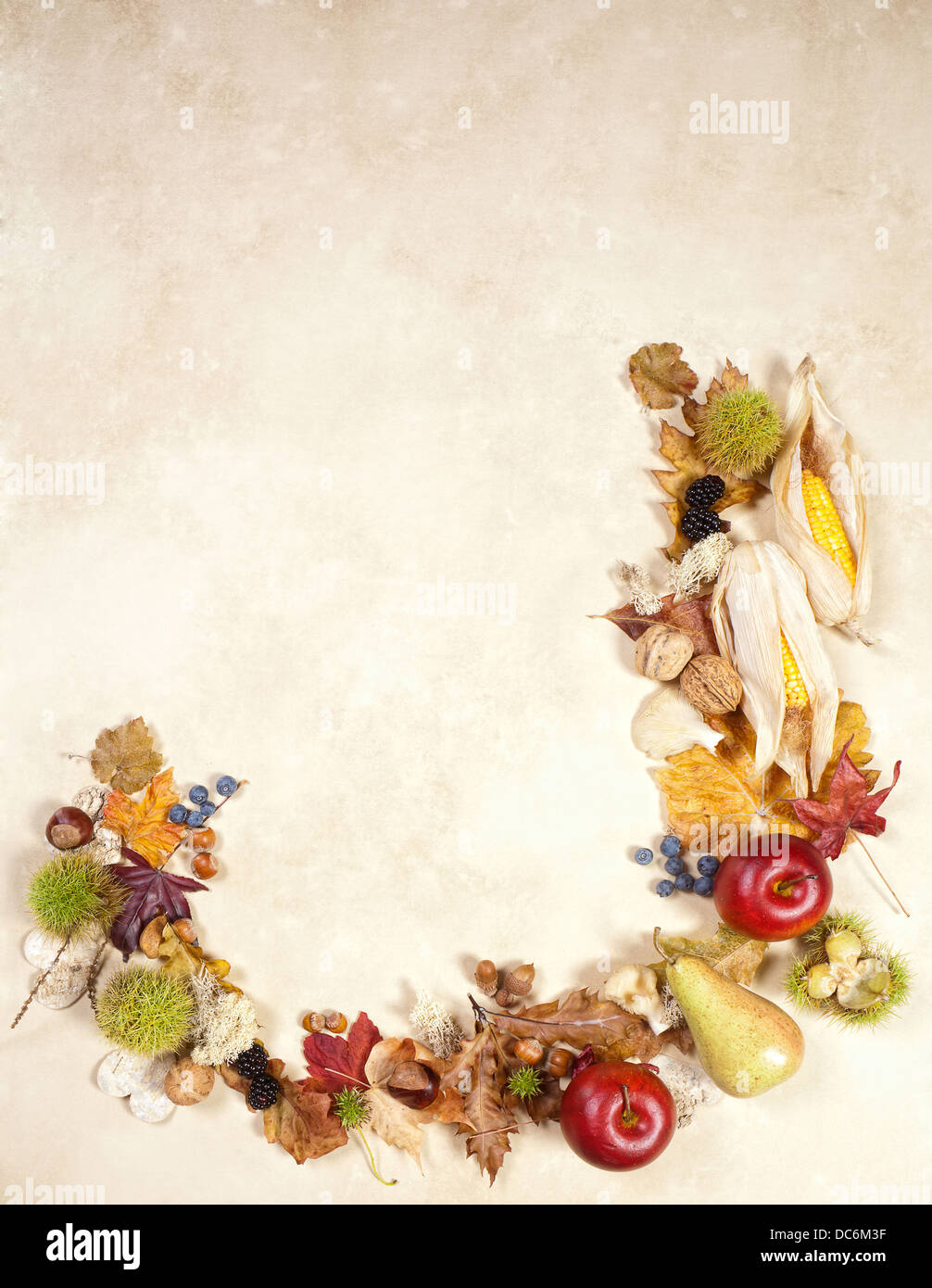 Border frame image of autumn fruits nuts and leaves Stock Photo - Alamy