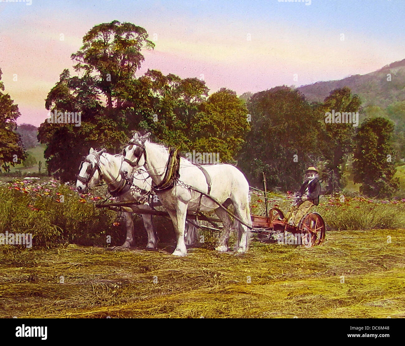 Farming - Mowing machine Victorian period Stock Photo - Alamy