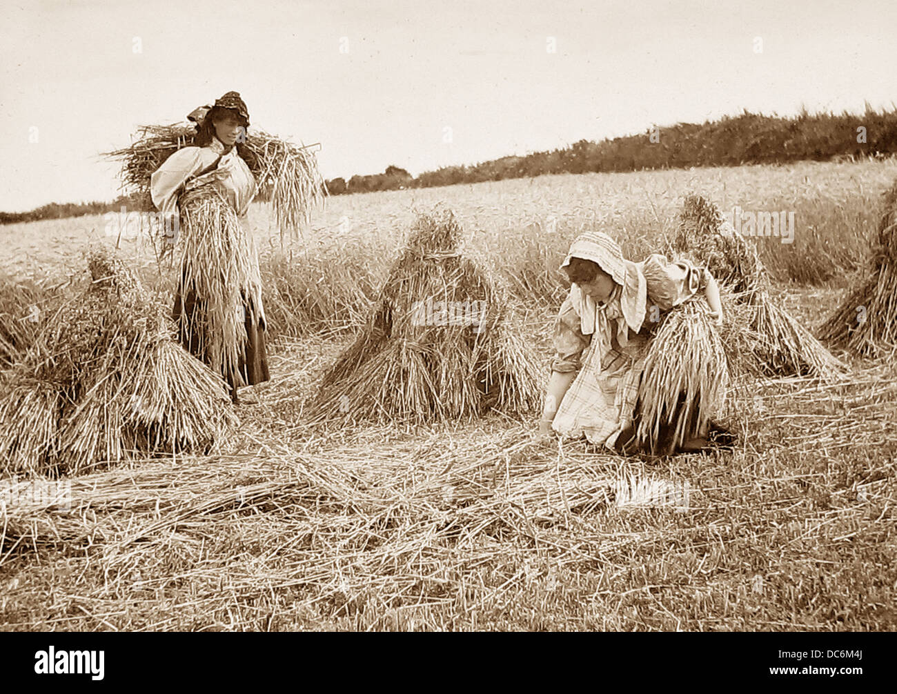 Farming - Gathering the hay Victorian period Stock Photo - Alamy