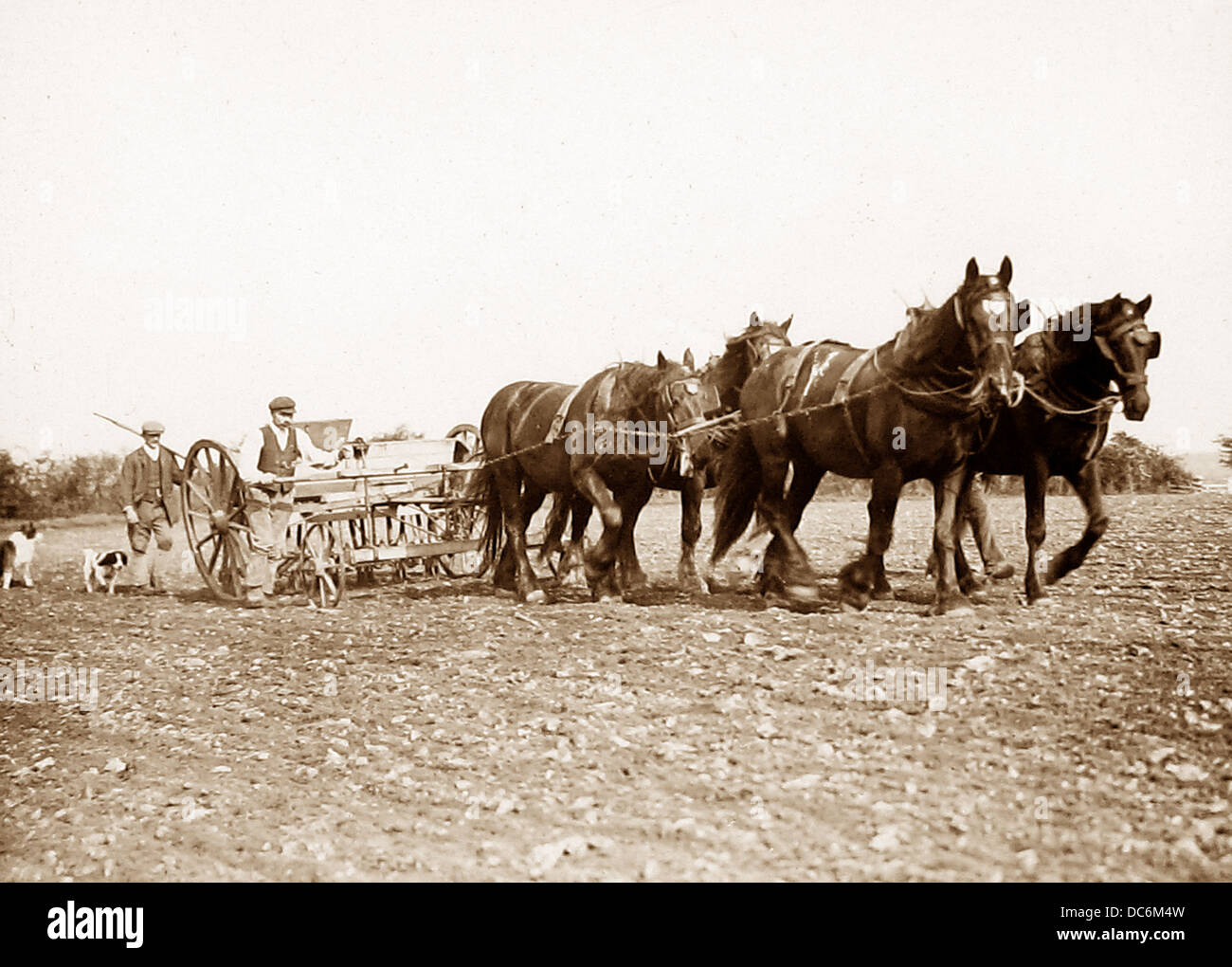 Victorian plough hi-res stock photography and images - Alamy