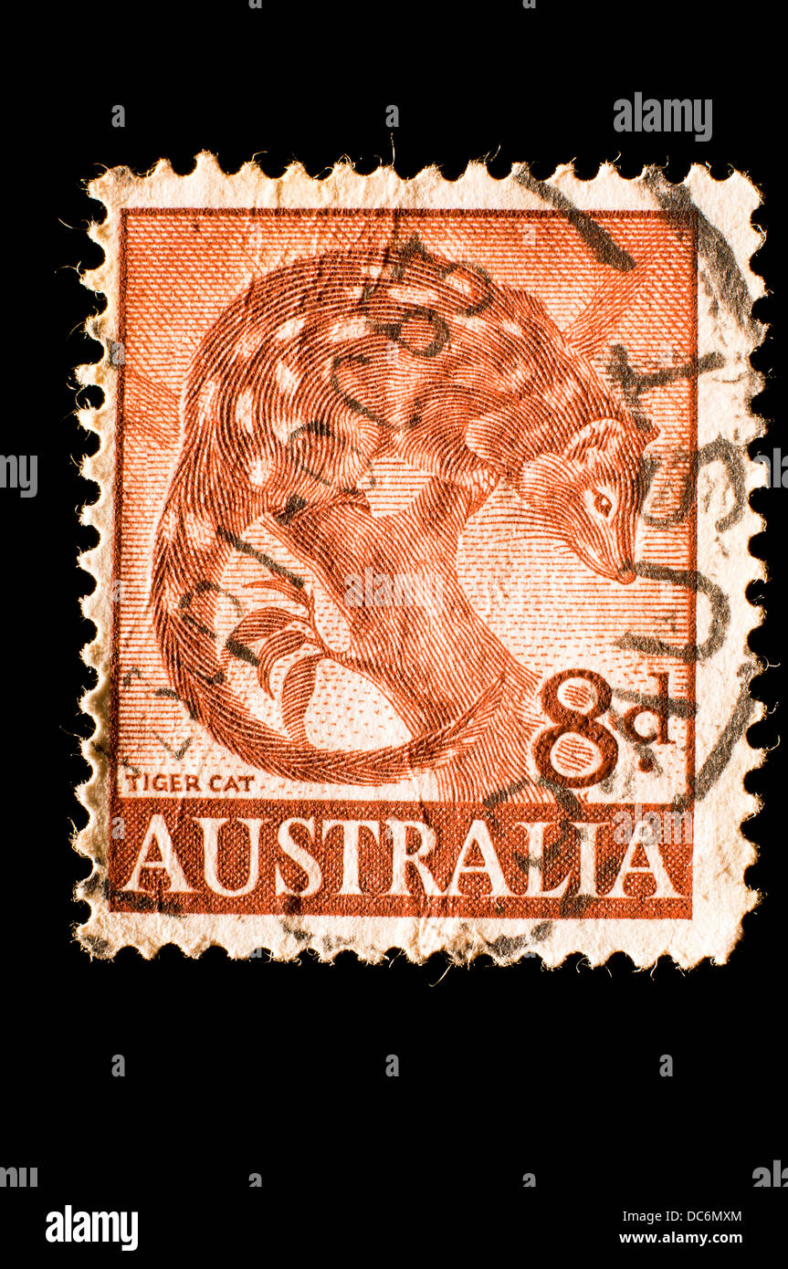 tiger cat Australia postage stamp Stock Photo - Alamy