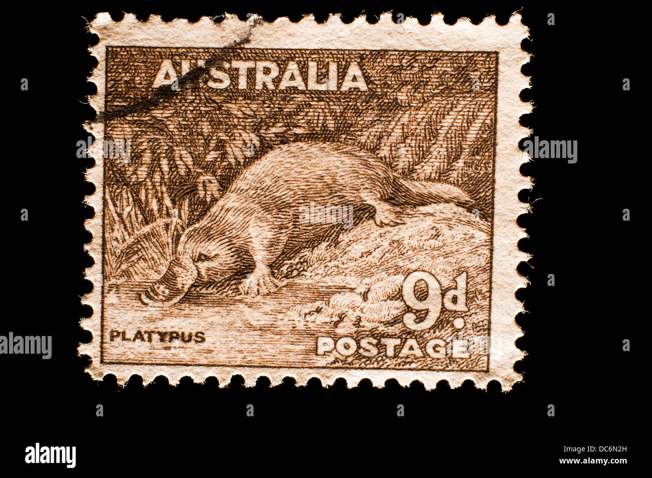 Platypus Australia Postage Stamp Hi-res Stock Photography, 52% OFF