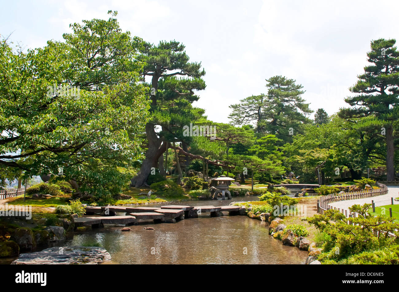Cherry blossom cascade hi-res stock photography and images - Alamy