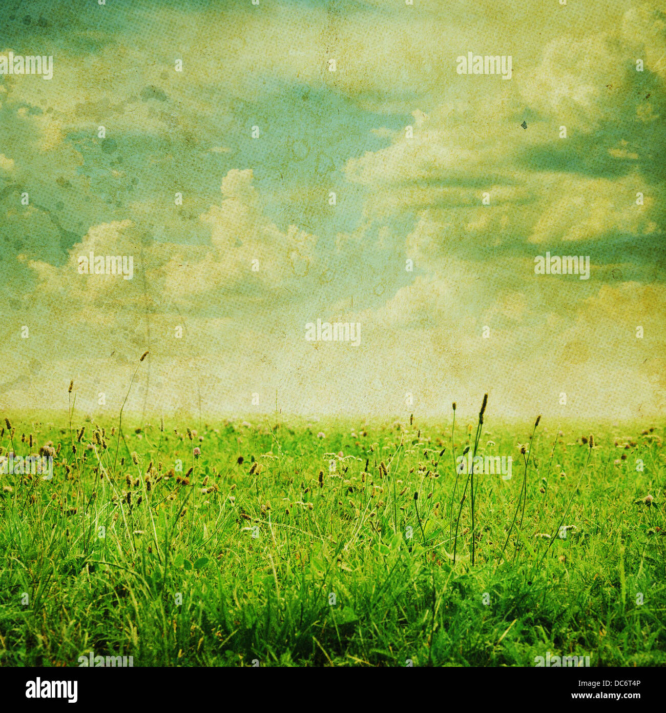 vintage nature background, old paper texture Stock Photo - Alamy
