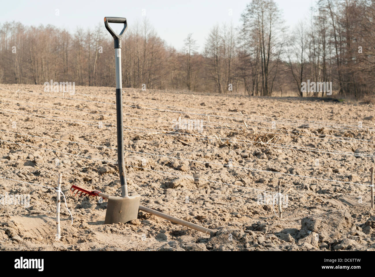 Digging over new allotment plot Stock Photo - Alamy