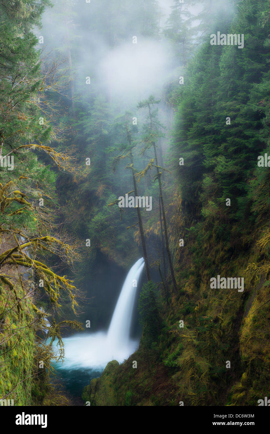 USA, Oregon, Columbia Gorge, Metlacko falls Stock Photo - Alamy