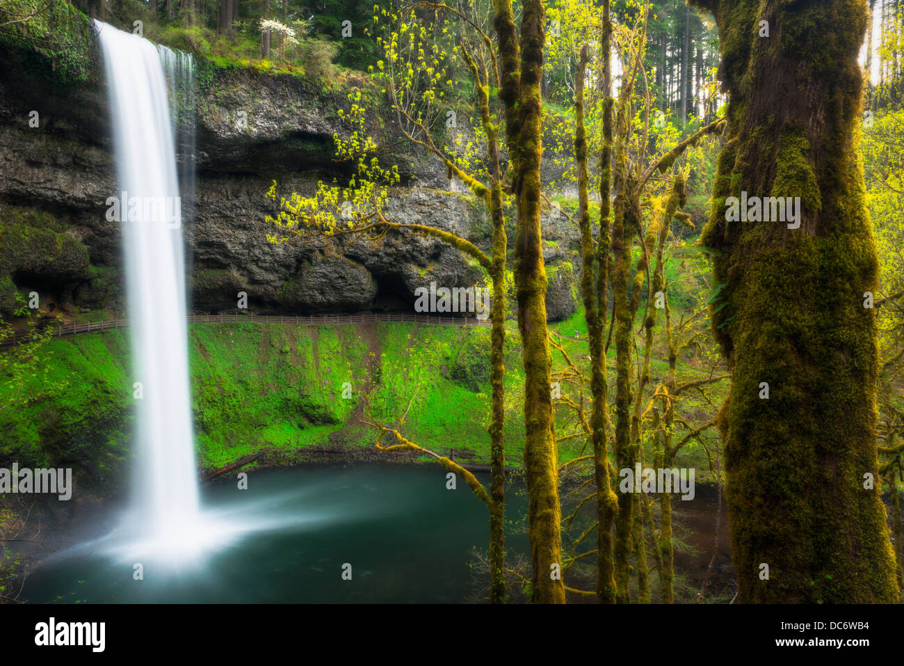 USA, Oregon, Marion county, Silver falls Stock Photo - Alamy