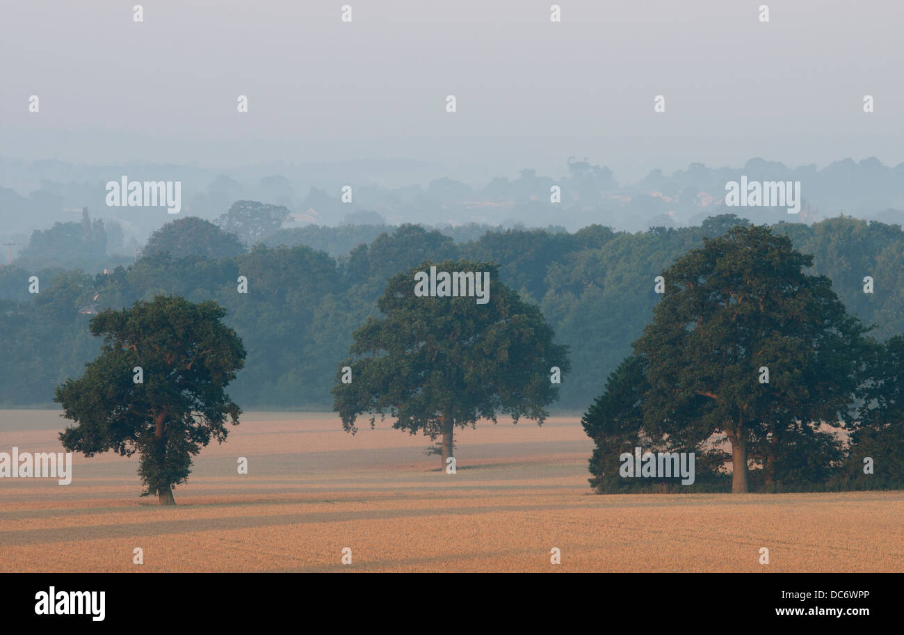 English countryside in haze hi-res stock photography and images - Alamy