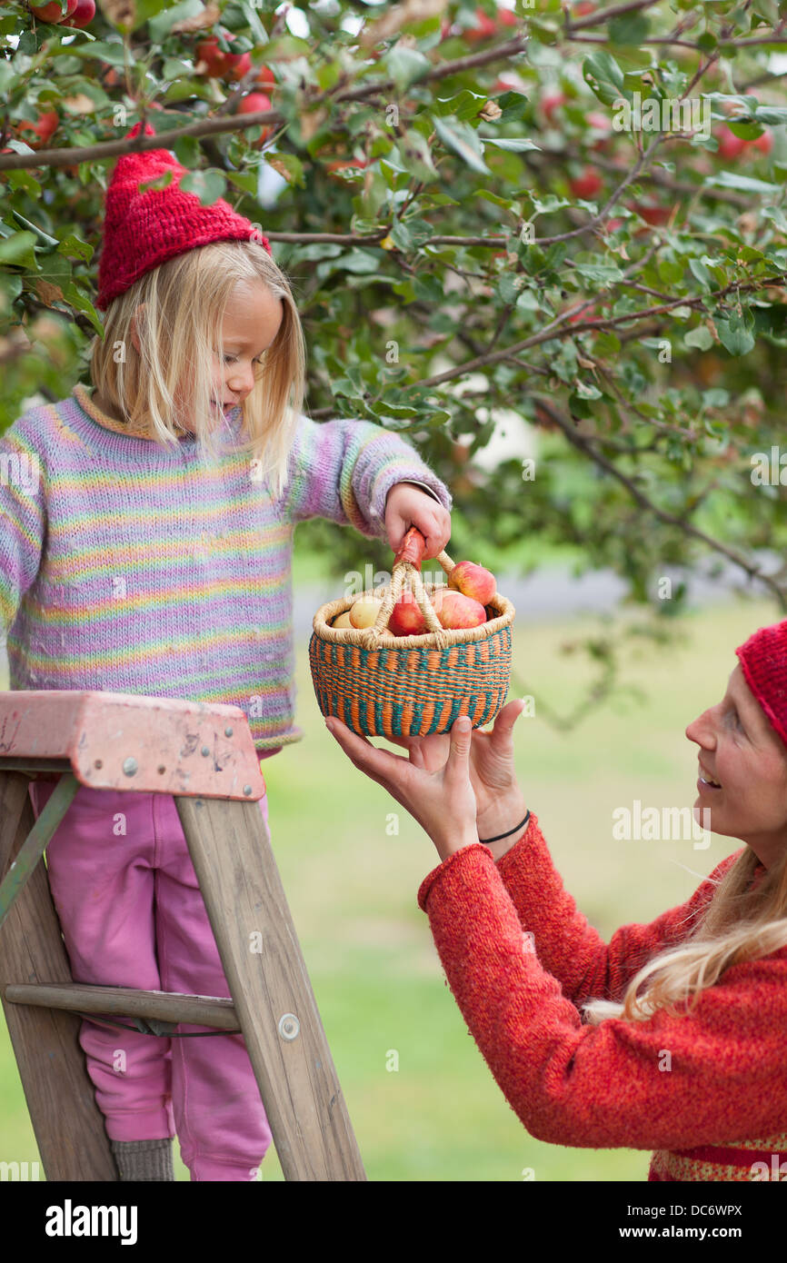 Mother and daughter picking up apples Stock Photo - Alamy