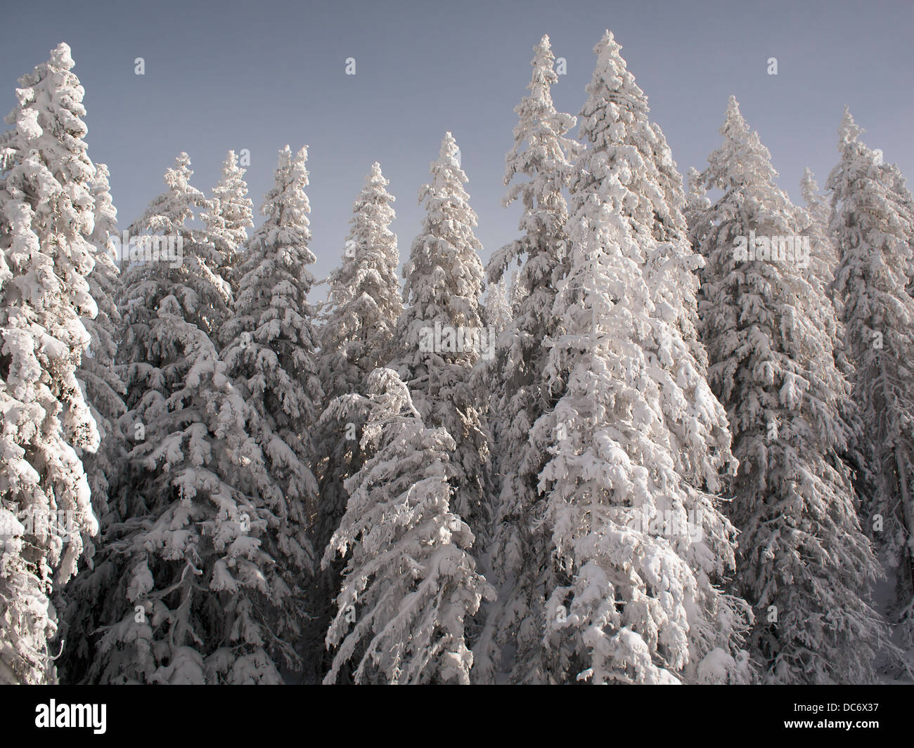 Maria Alm Austria Snow High Resolution Stock Photography and Images - Alamy