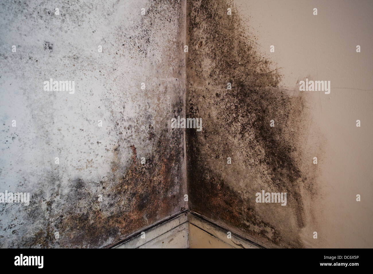 Mould house hi-res stock photography and images - Alamy