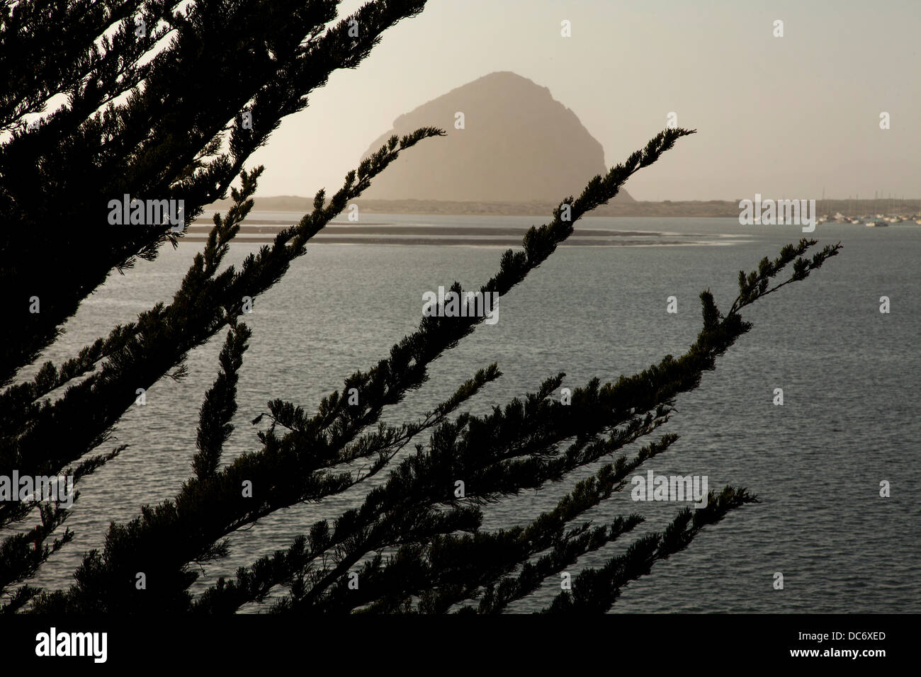 Morro Rock as seen from Morro Bay State Park, California Stock Photo ...