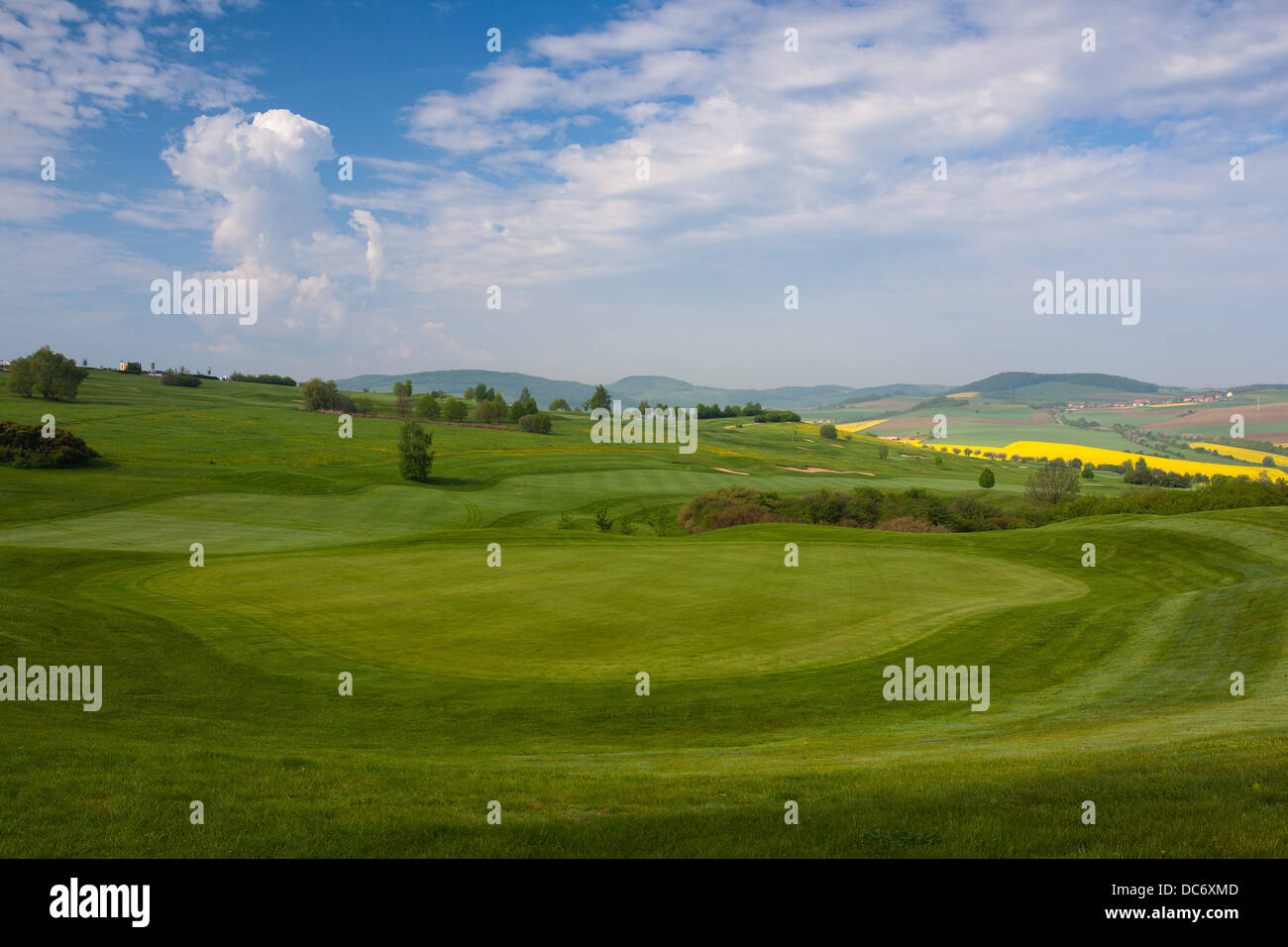 On the spring golf course Stock Photo - Alamy
