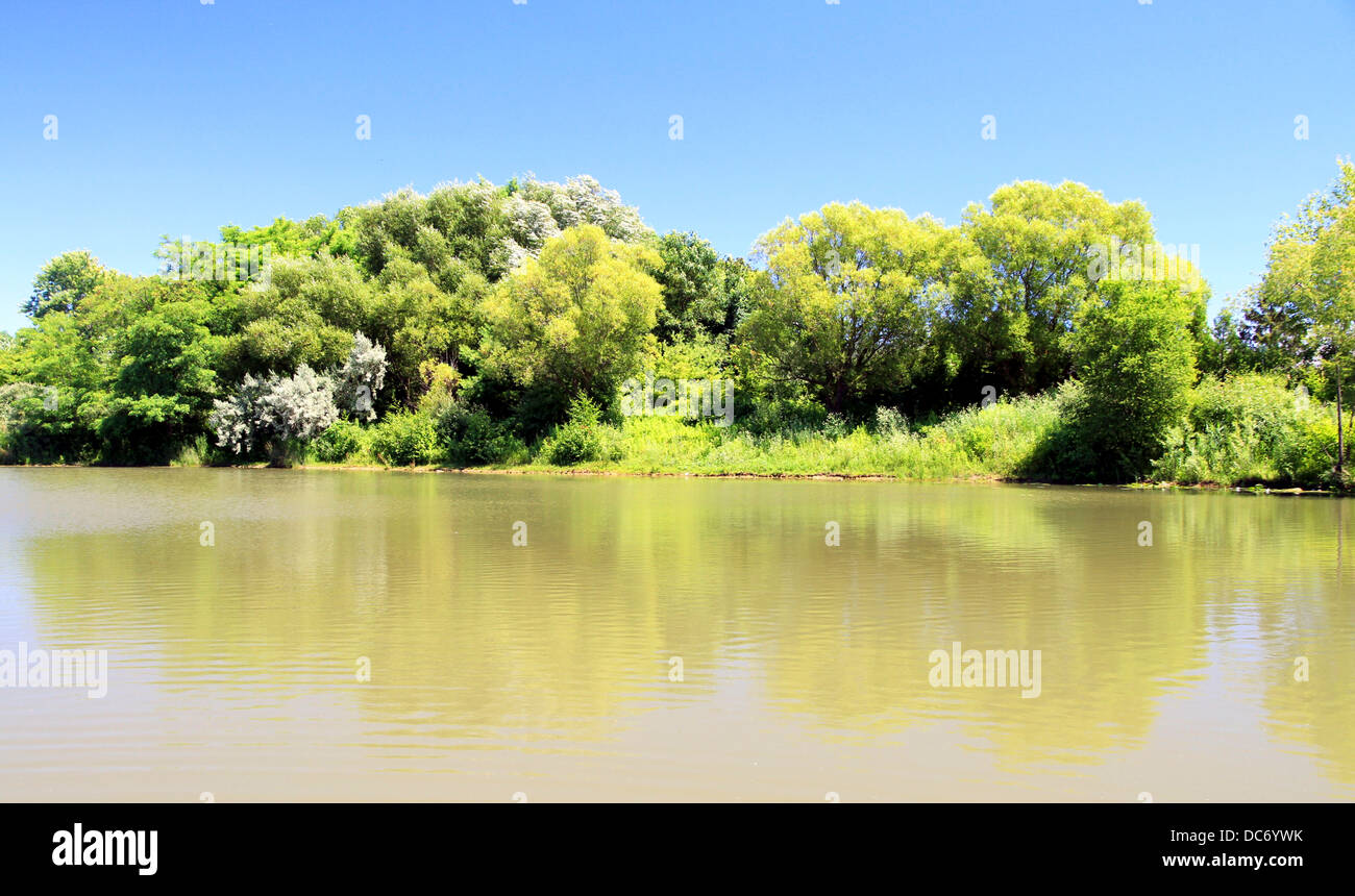 Trees on the Lake Ontario in Toronto, Canada Stock Photo - Alamy