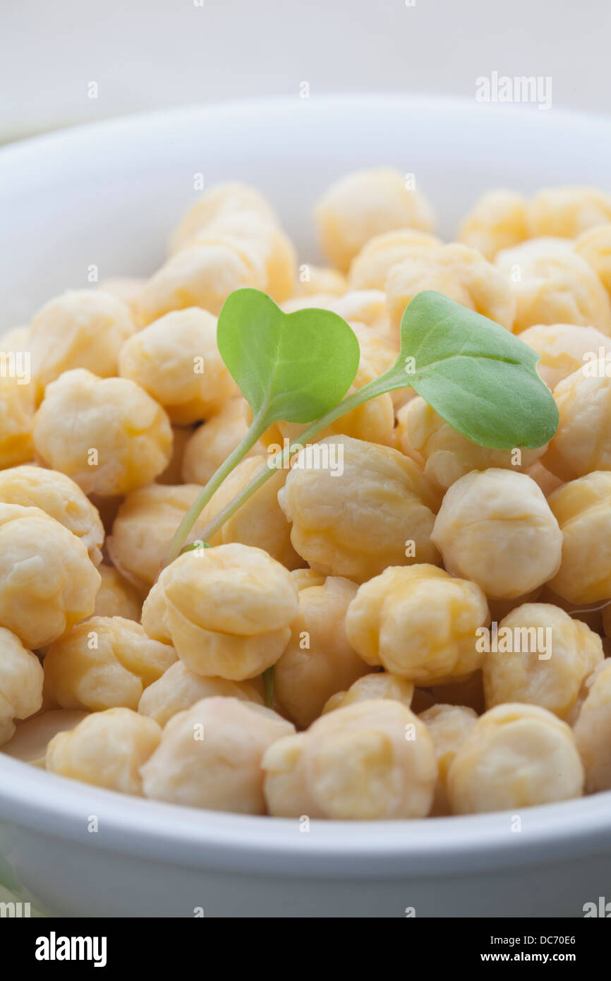 Close-up of chickpea in bowl Stock Photo - Alamy