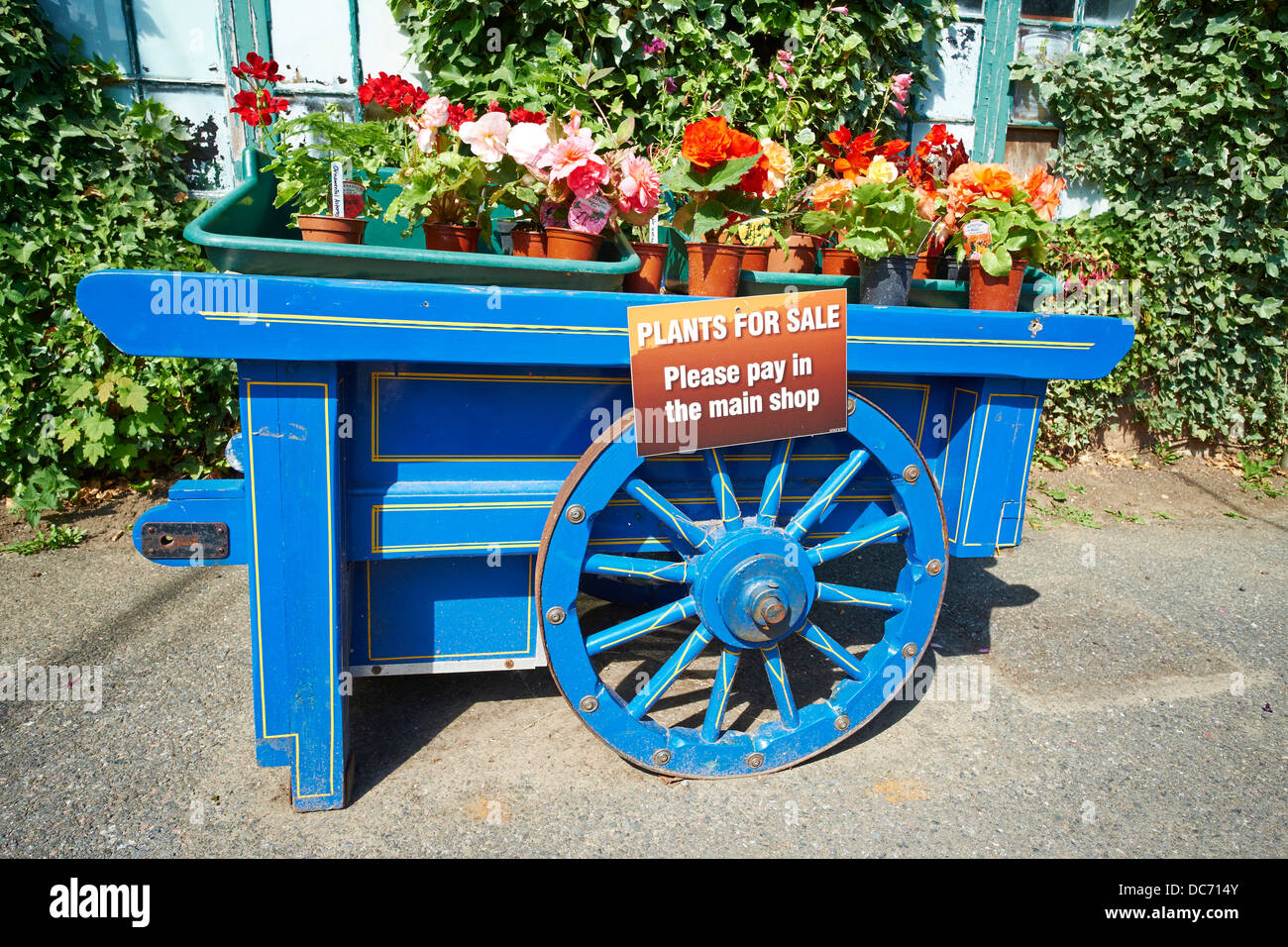 Small Blue Cart With Plants For Sale Sign Port Lympne Wild Animal Park ...