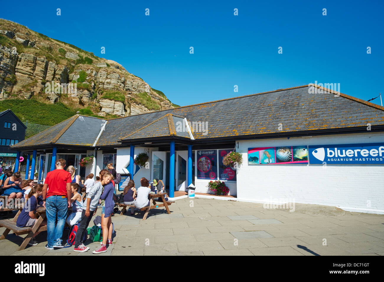 Bluereef Aquarium Rock-A-Nore Road Hastings Sussex Stock Photo - Alamy