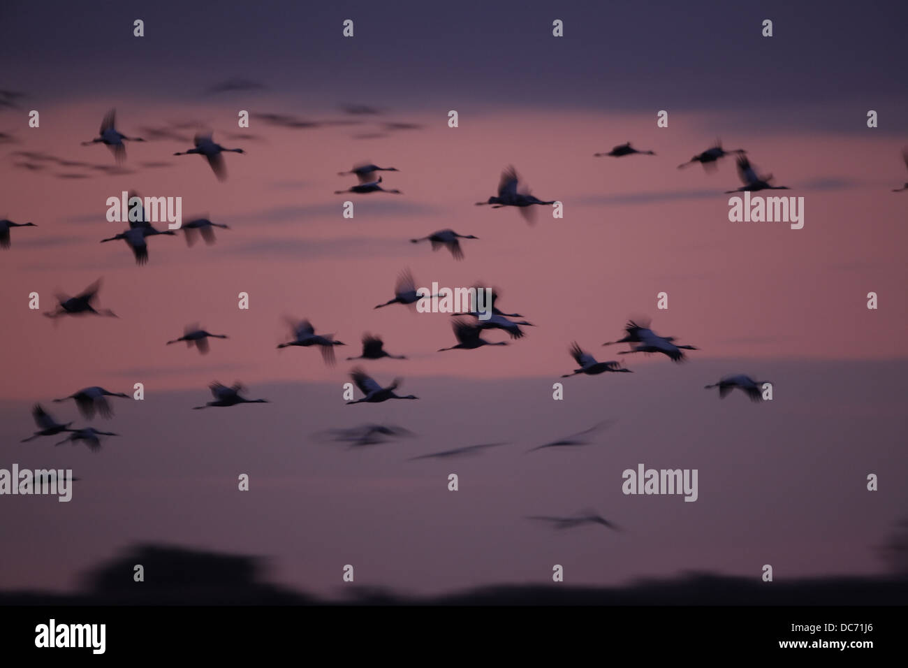 Going to night hi-res stock photography and images - Alamy
