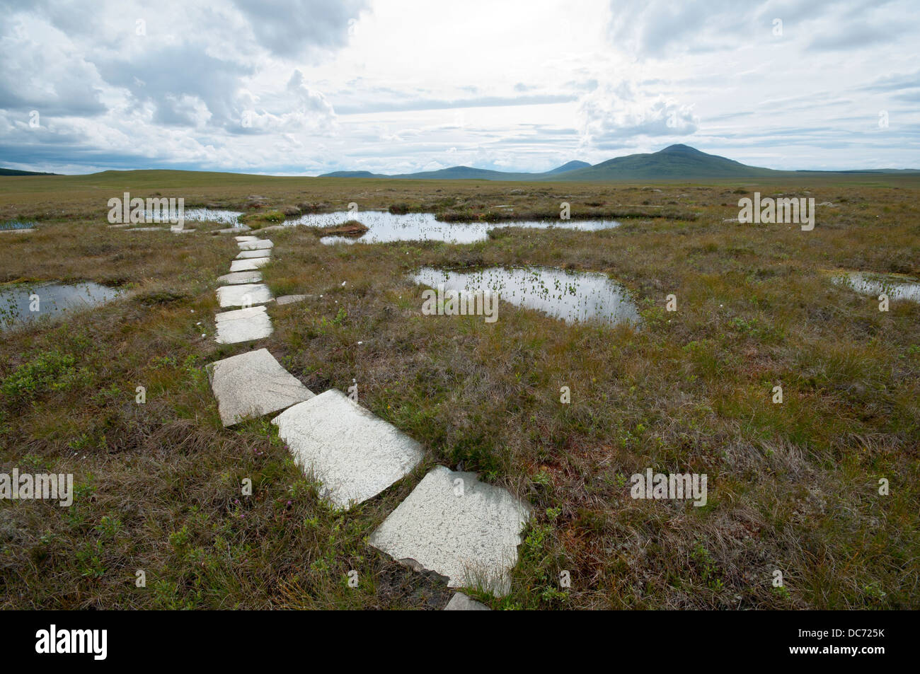 Stepping stones between pools at the Forsinard Flows RSPB nature ...