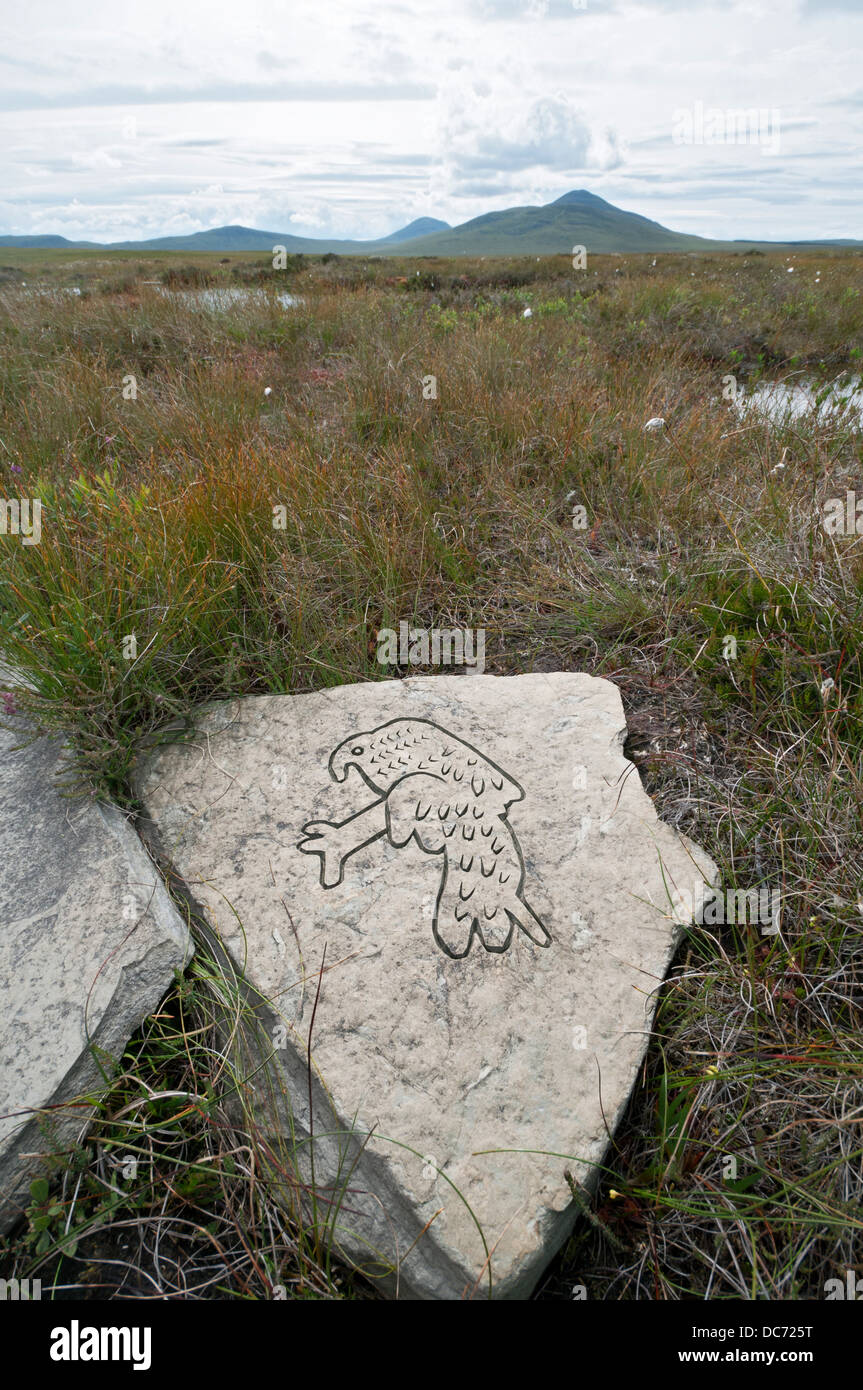 Engraved stone slab at the Forsinard Flows RSPB nature reserve ...
