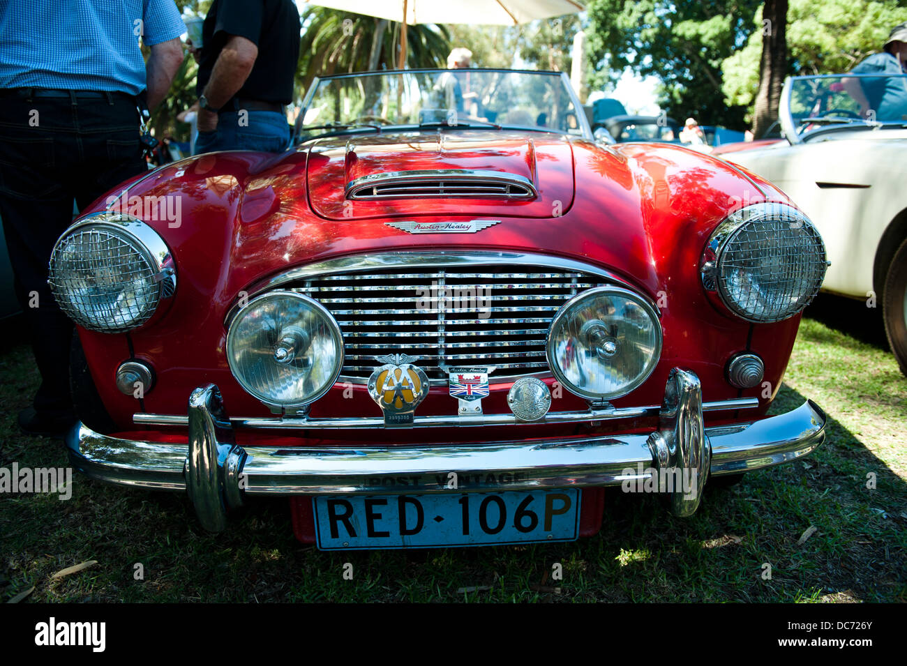 Classic red Austin-Healey 3000 sportscar Stock Photo - Alamy