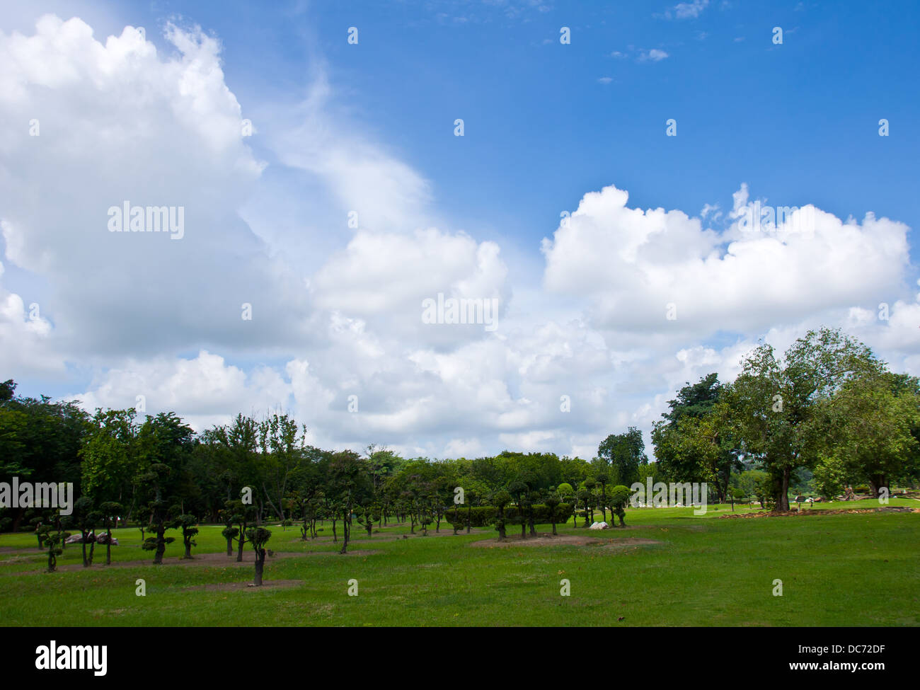 beautiful garden and blue sky Stock Photo - Alamy