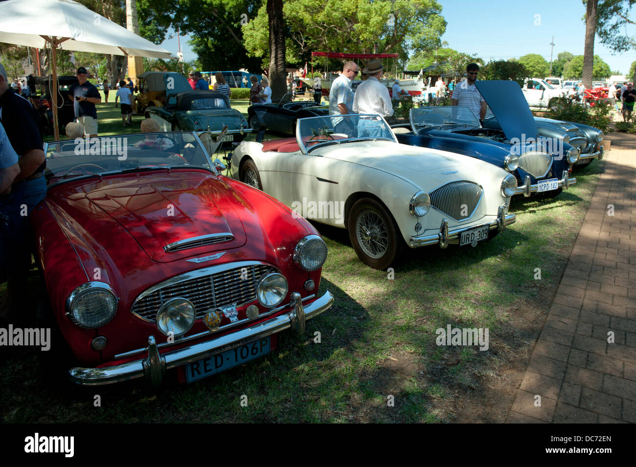 1960 austin healey 3000 hi-res stock photography and images - Alamy