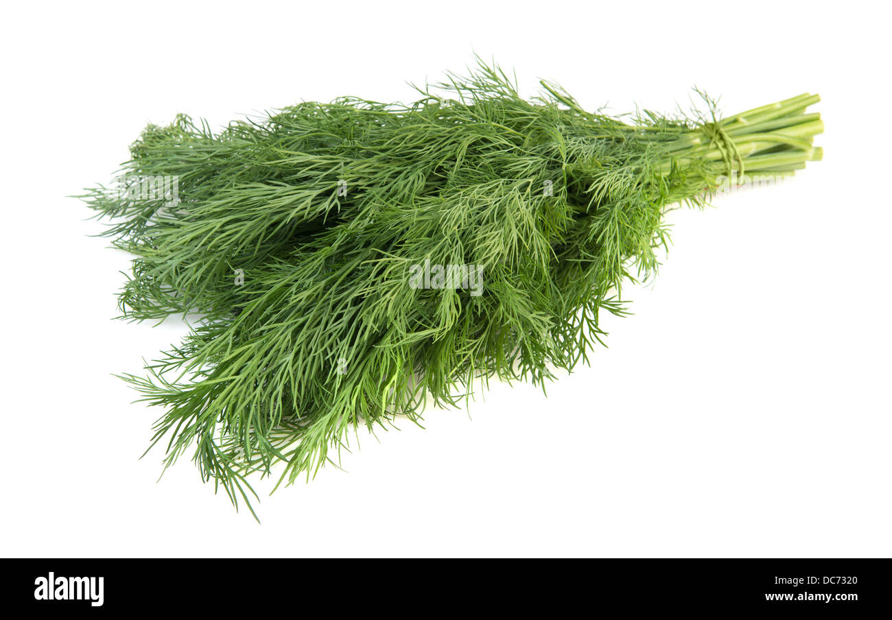 Dill hi-res stock photography and images - Alamy
