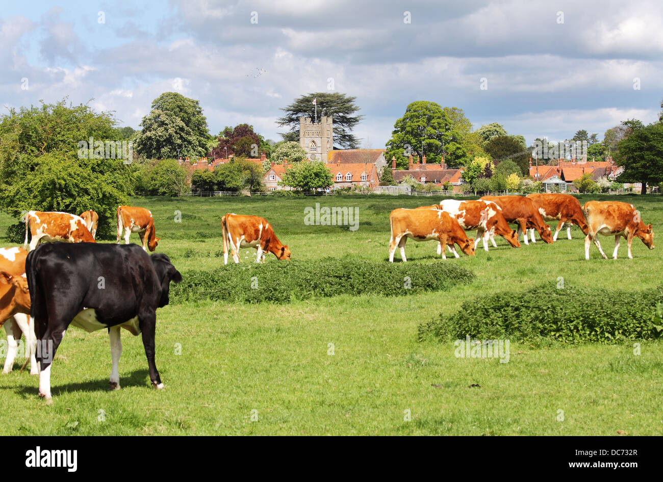 English pastoral landscape hi-res stock photography and images - Alamy