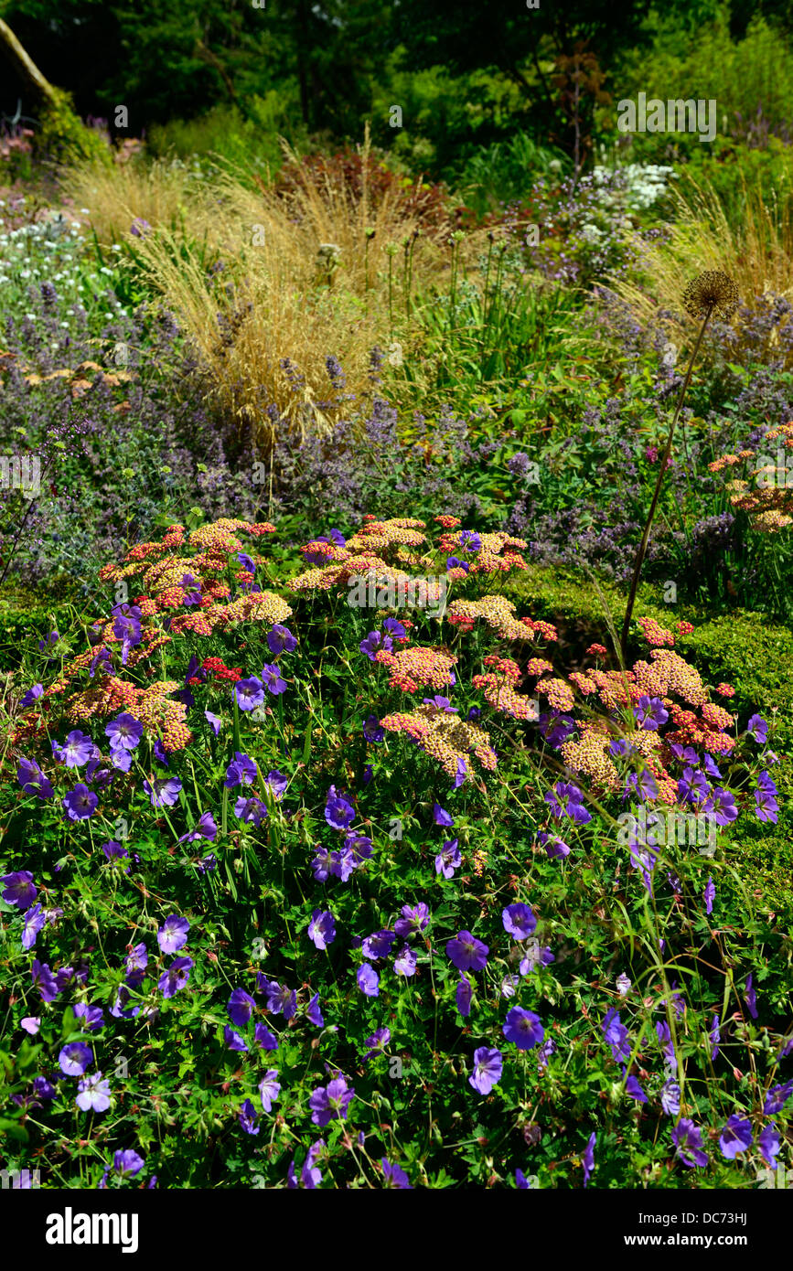 Informal planting scheme hi-res stock photography and images - Alamy