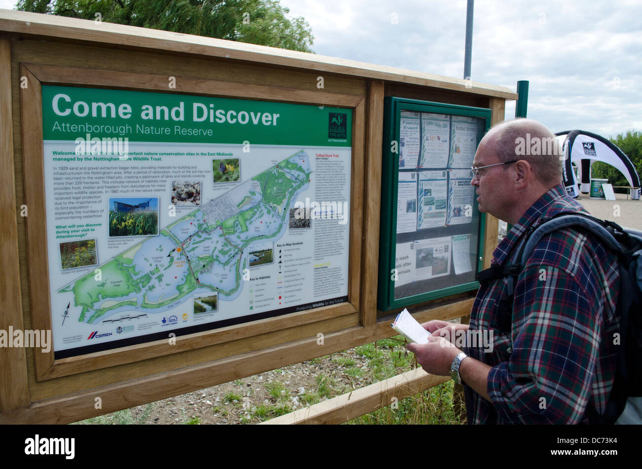 Visitor looking at notice board Stock Photo - Alamy