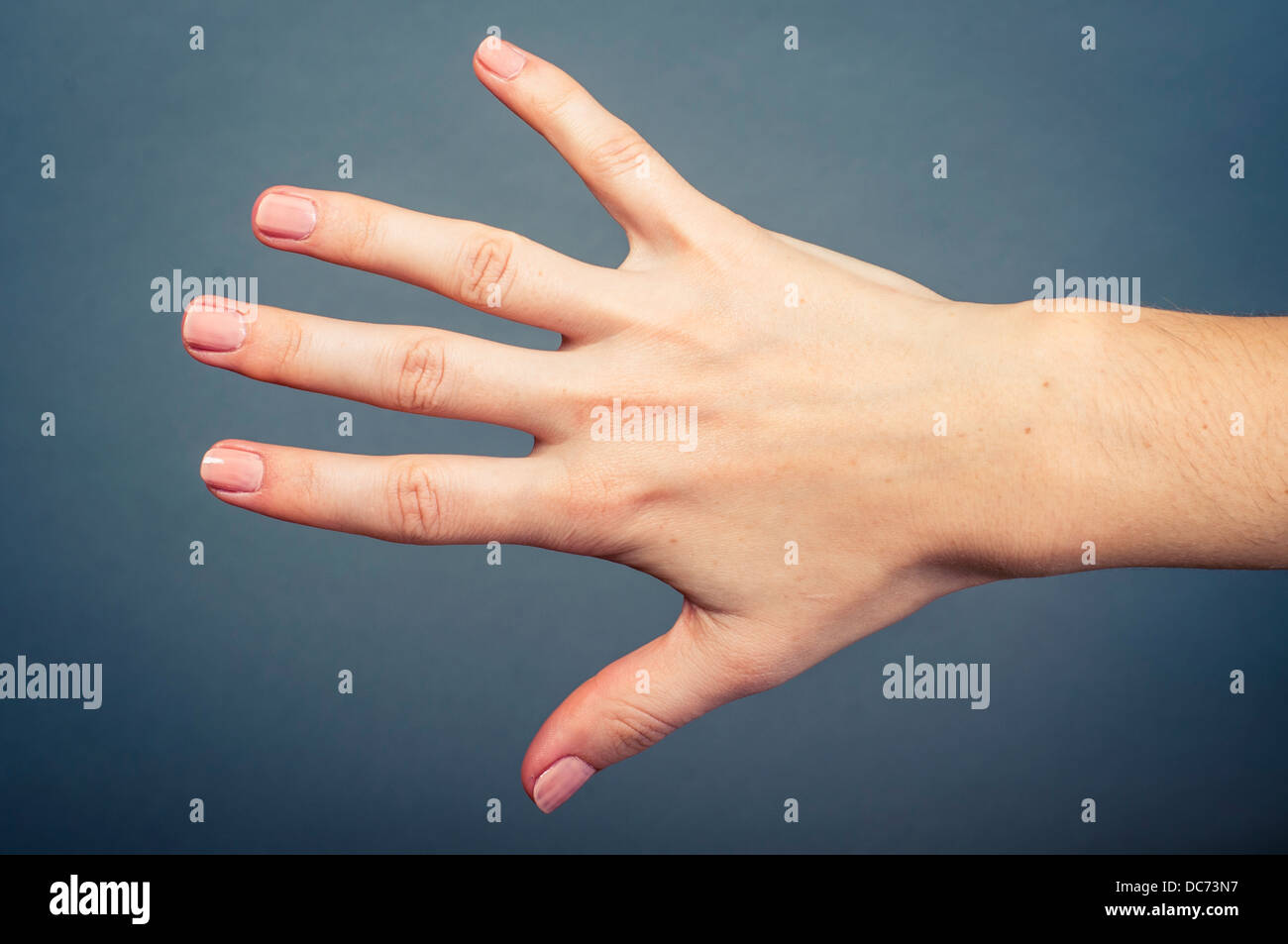 an image of female hand isolated Stock Photo - Alamy