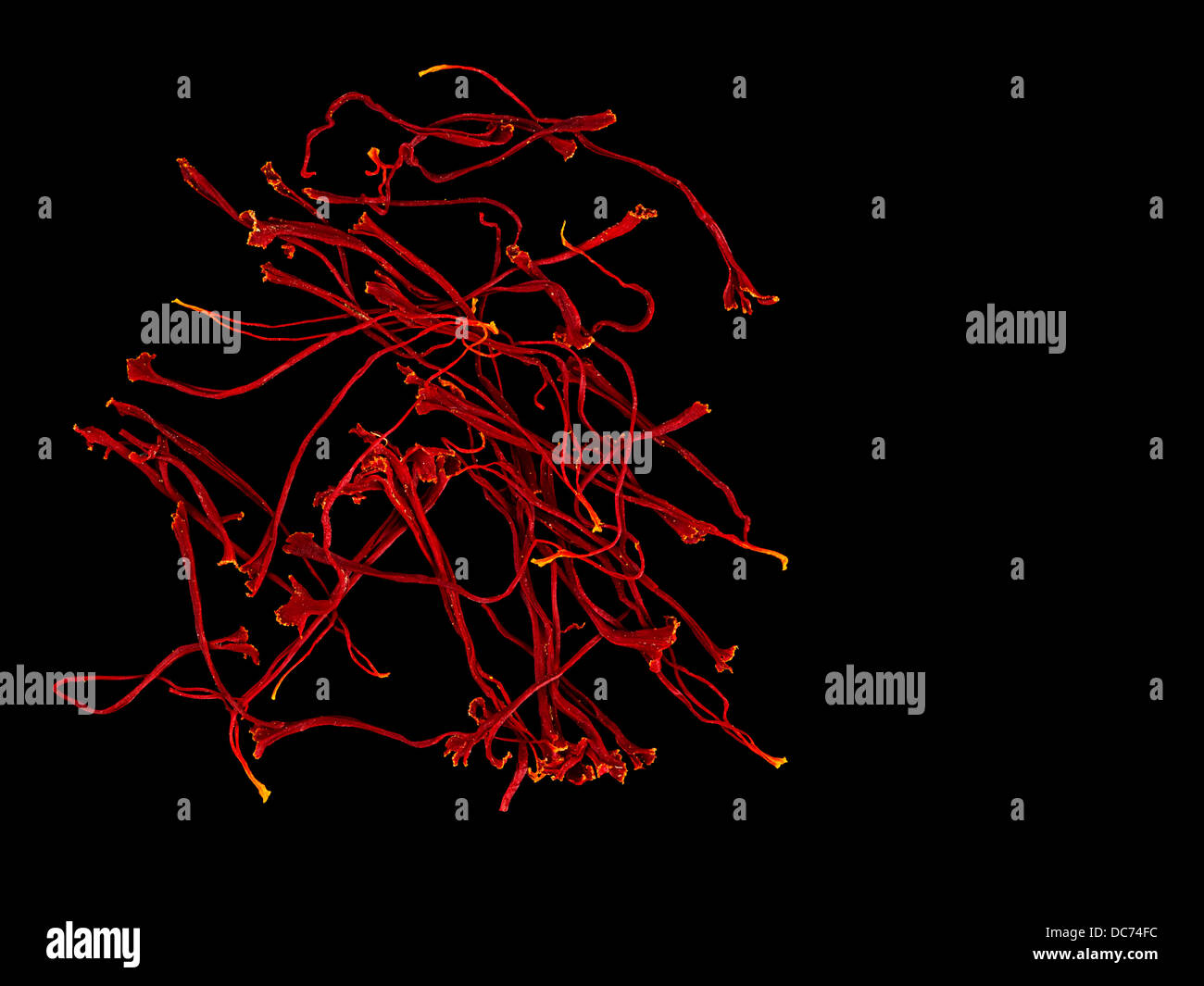 Beautiful saffron macro over black Stock Photo - Alamy