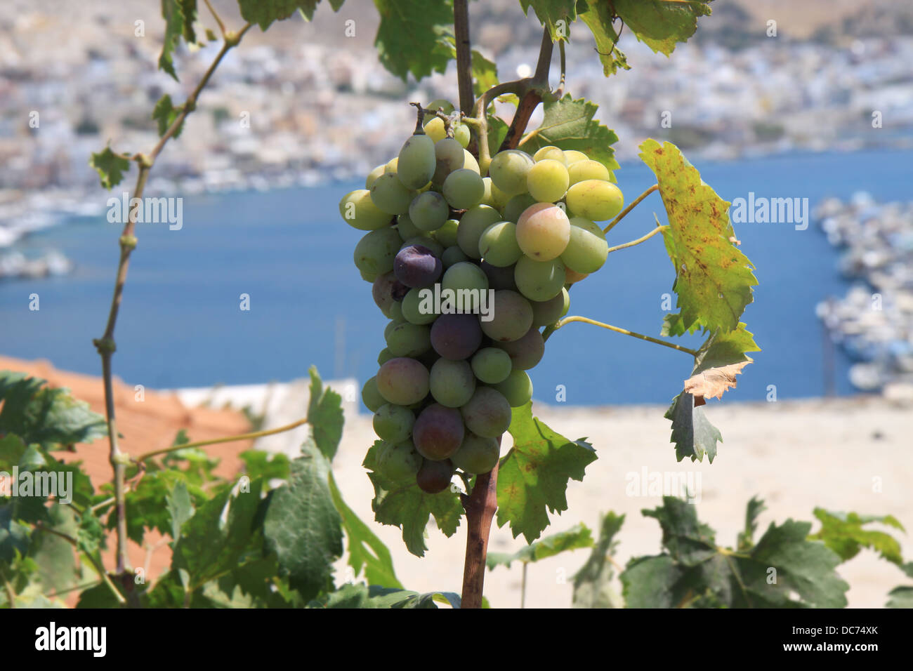 Greek view hi-res stock photography and images - Alamy