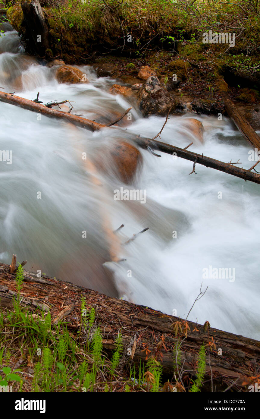 Silverton Creek, Banff National Park, Alberta, Canada Stock Photo - Alamy